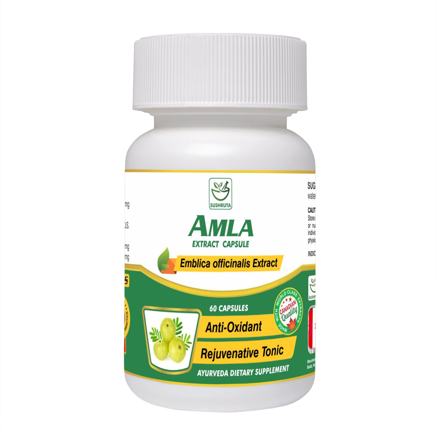 Amla Extract Capsule – Sushruta Clinic