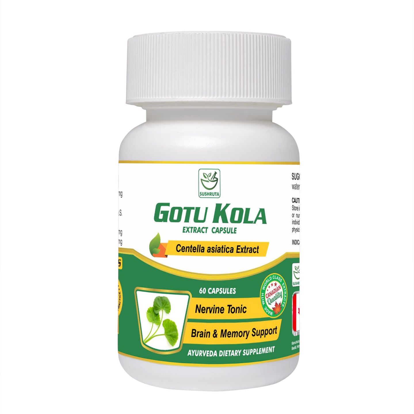 Gotu Kola Extract Capsule – Sushruta Clinic