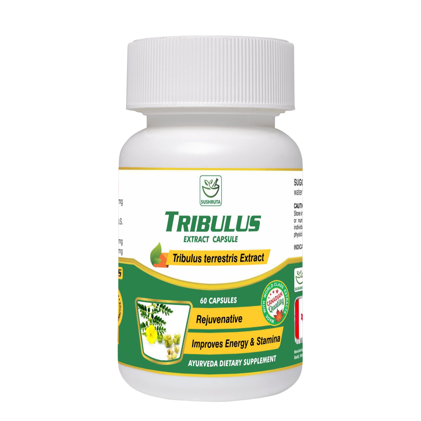 Tribulus Extract Capsule – Sushruta Clinic